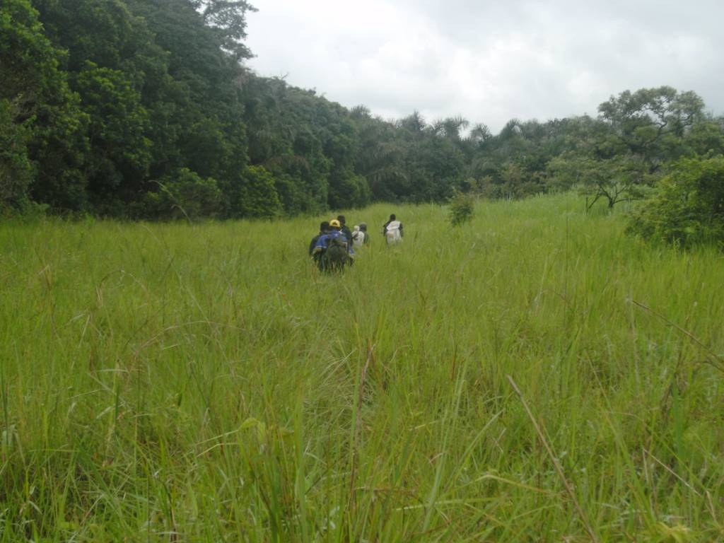 Actualités du Parc National de MPEM et DJIM: Deux visages de la ...