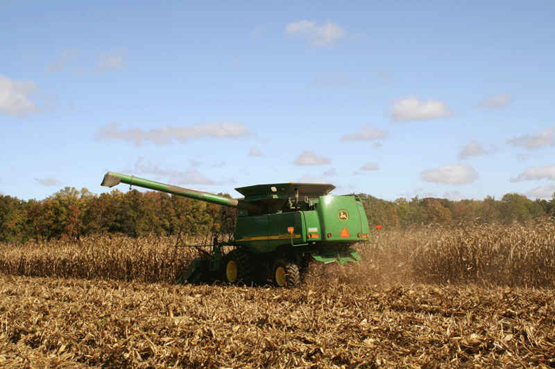 Gal in the Middle: Wrapping Up Corn Harvest 2011