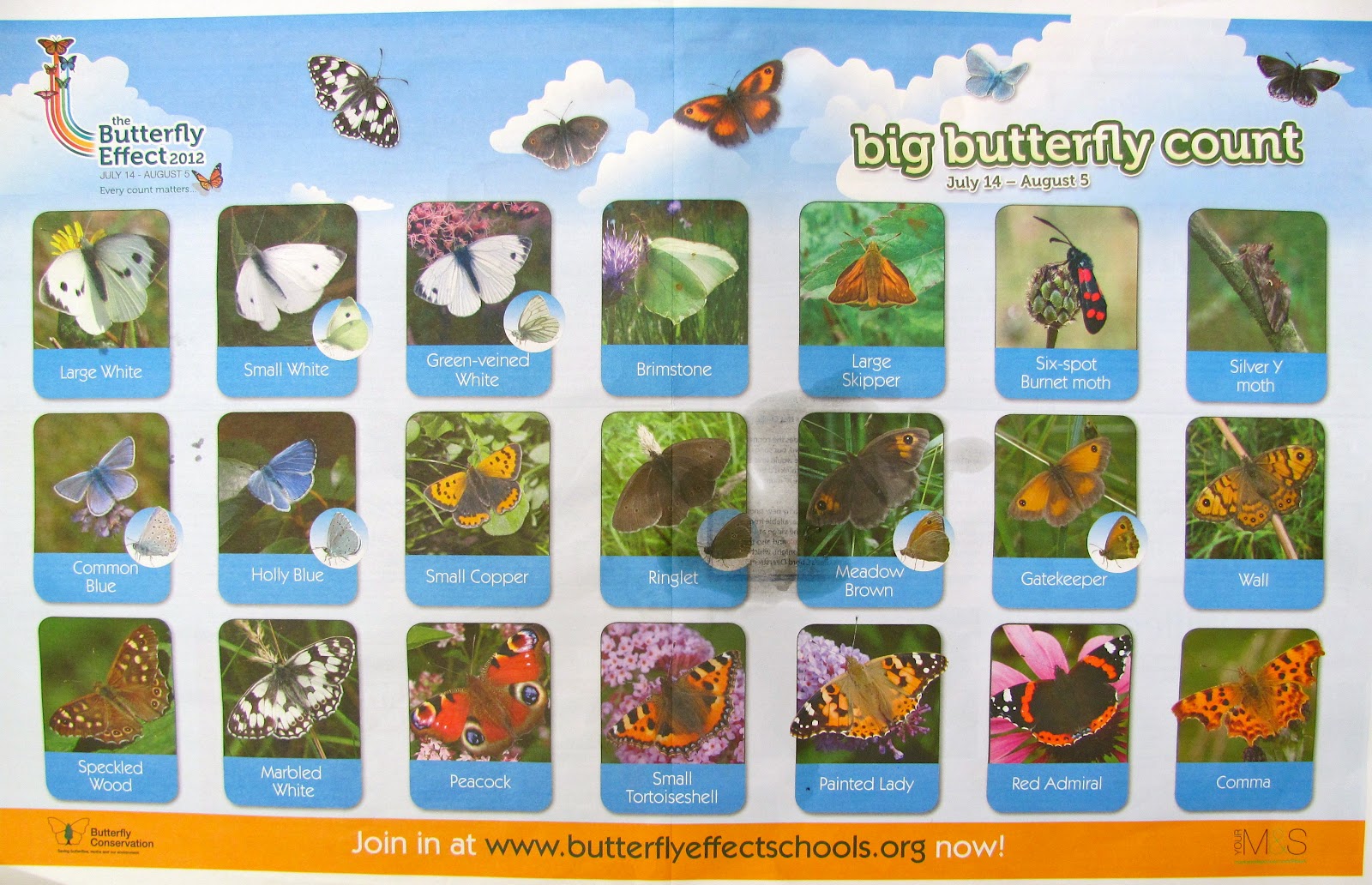Jumble Tree: Counting Butterflies