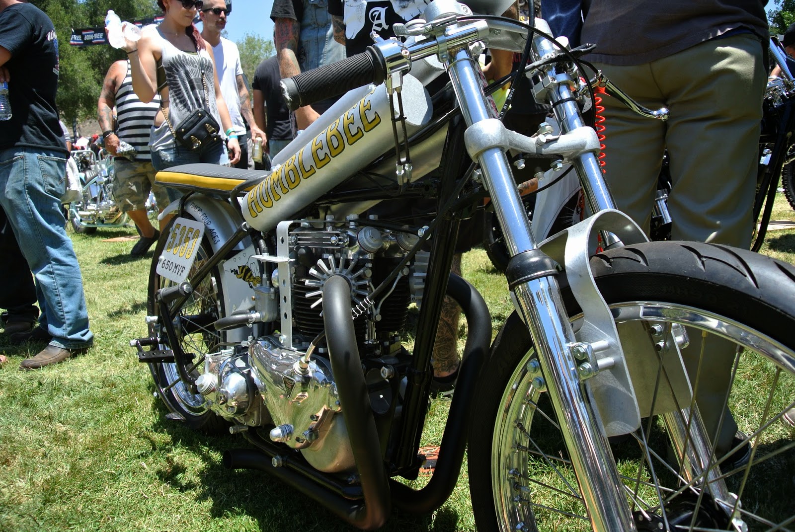 Old-STF Cycle: Born Free Six - Tom, Trent and Wes