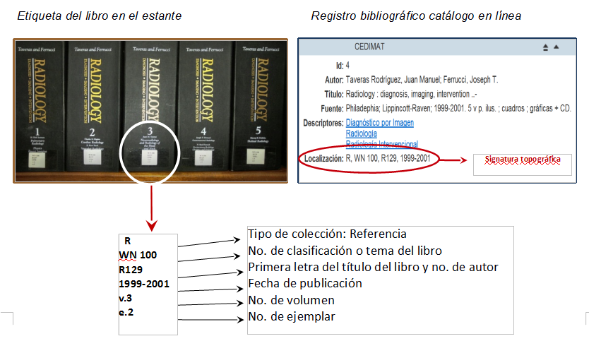 Biblioteca Informa: SECCION EDUCATIVA