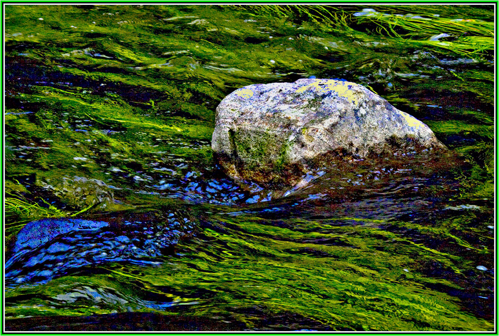 Eko-Kuvia: *Vesi - Taide*...?