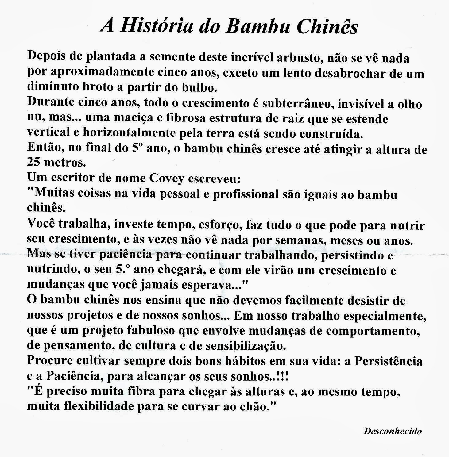 A história do bambu chinês