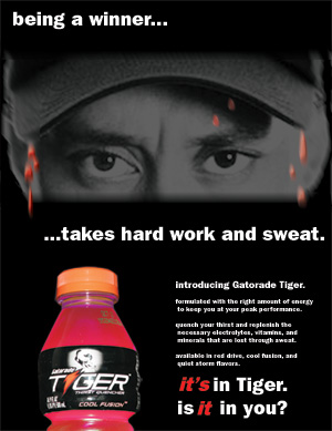 Confessions Of A Crafty Mommy: Logical Fallacies In Advertisements