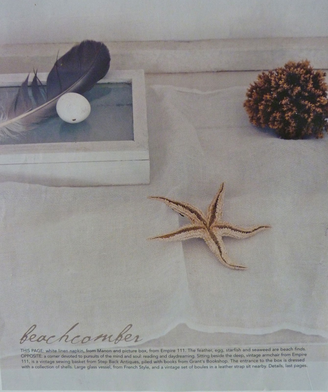 beachcomber: vintage beach shack