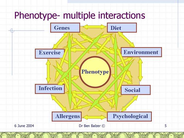phenotype : pleitropy: