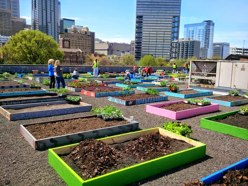 What's Happy This Week! Roof Top Vegetable Garden For The Homeless Shelter