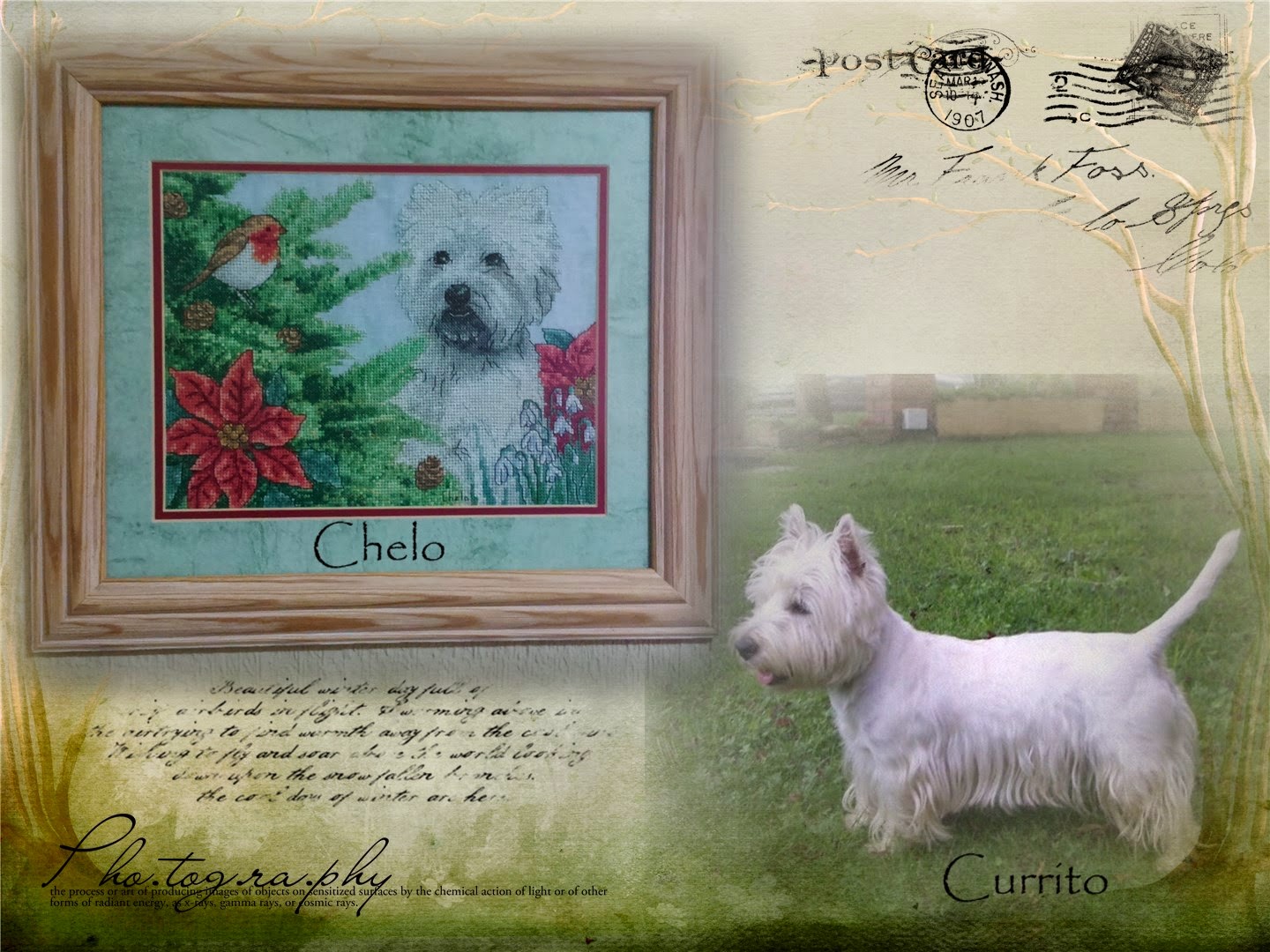 El rincón de Chelo: Recordando.....mi segunda entrada