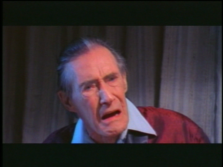 MONDO BIZARRO: Fred Olen Ray J: Evil Spawn (1987)