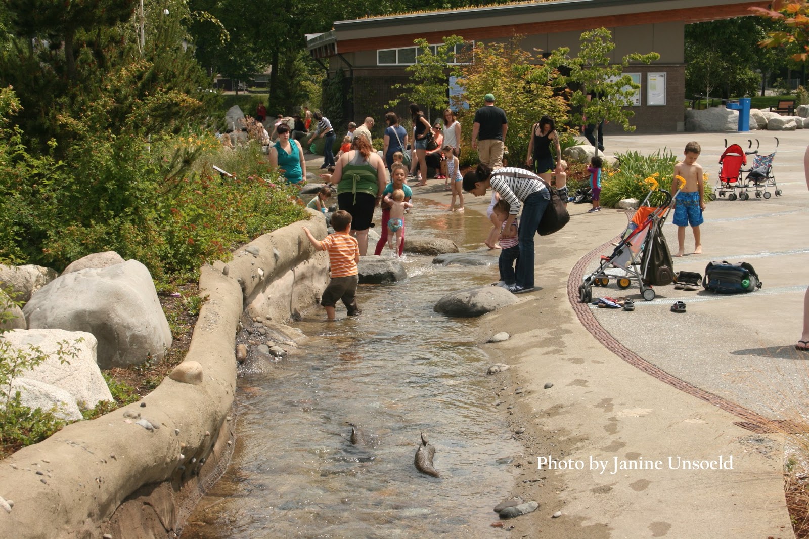 Little Hollywood: It's The Groundwater: LOTT Advisory Group Still Has A ...