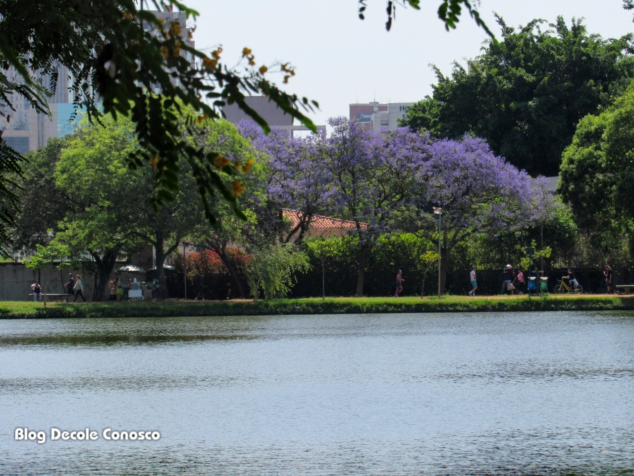 Ibirapuera o parque mais querido de São Paulo