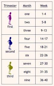 Pregnancy and Mommyhood - Take 1!: Welcome! To You and to Third Trimester