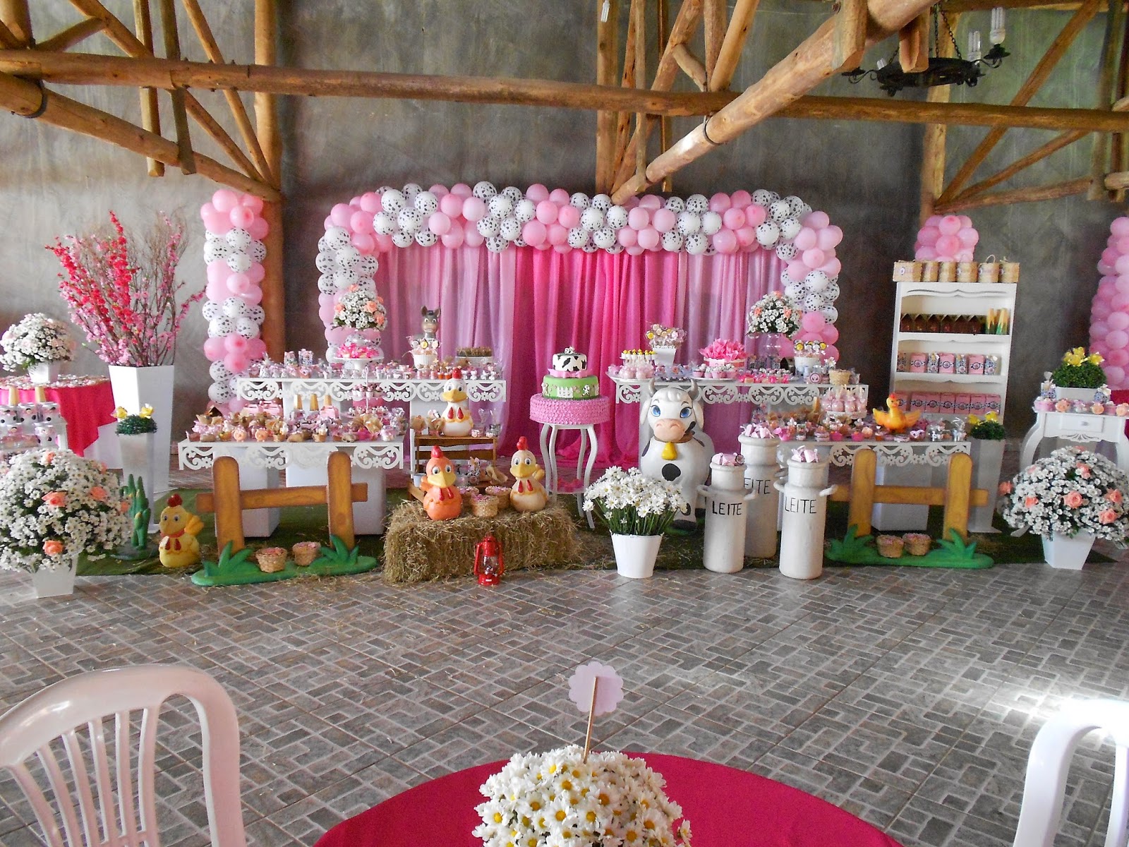 VIVA FESTA: FAZENDINHA ROSA