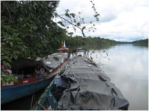 Calamar Guaviare: Calamar Guaviare