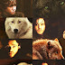 Game of Thrones: The Starks and Their Dire Wolves