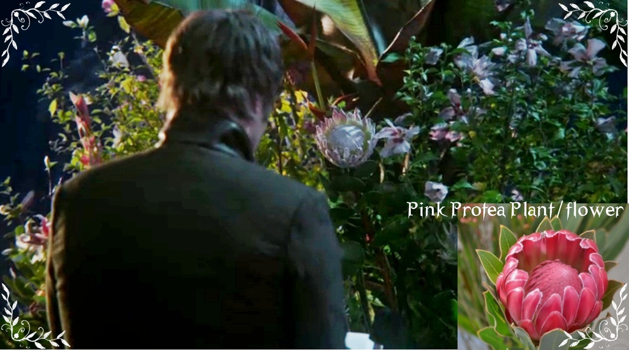 Karen's Adventures in Storybrooke: The Doctor