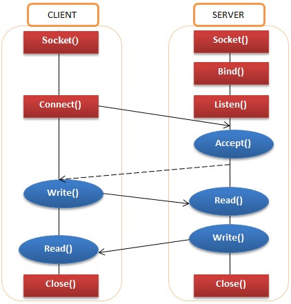 Socket là gì? So sánh TCP và UDP ~ Thế Giới Giải Mã