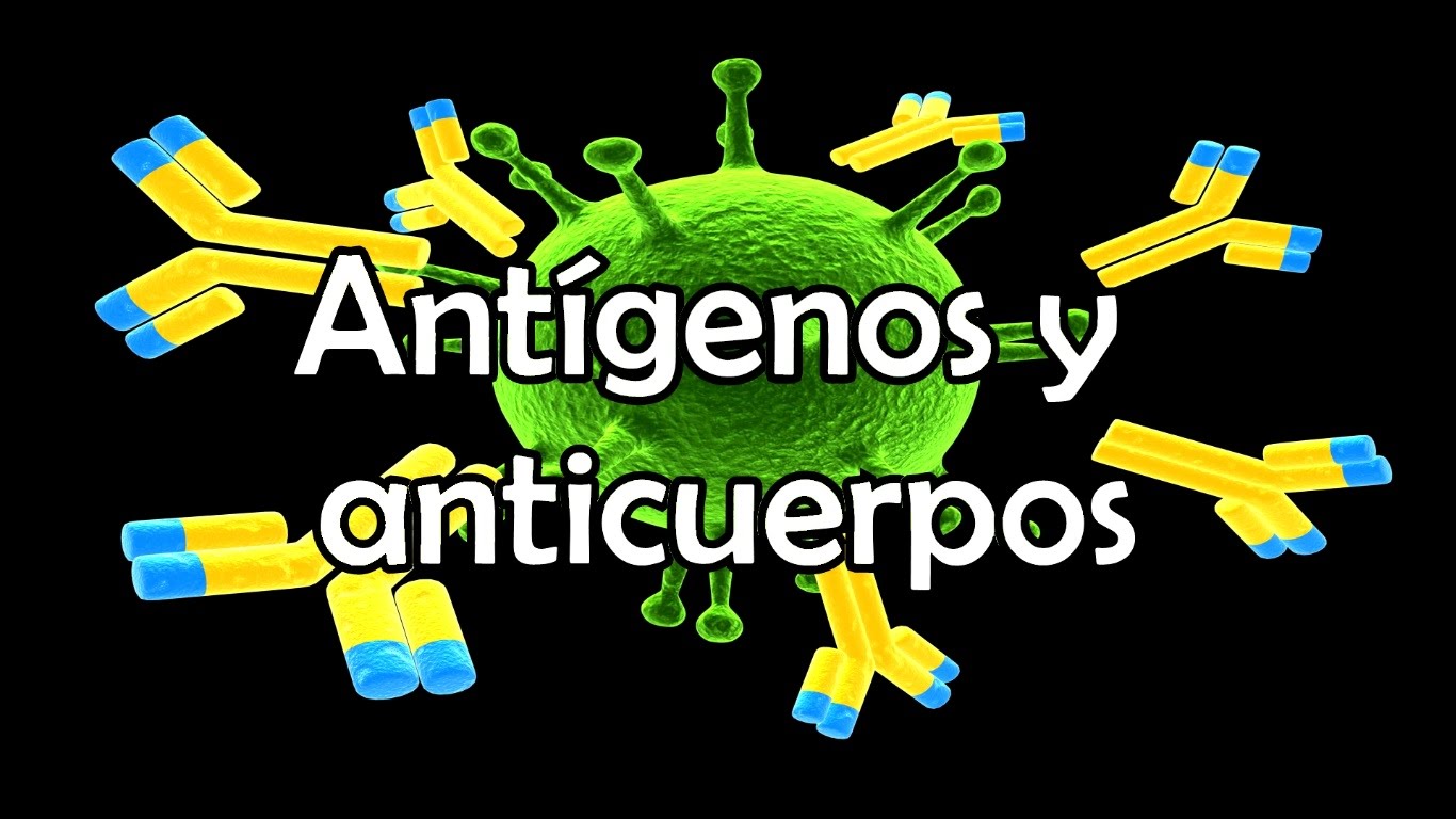 la celula : Antígenos y Anticuerpos