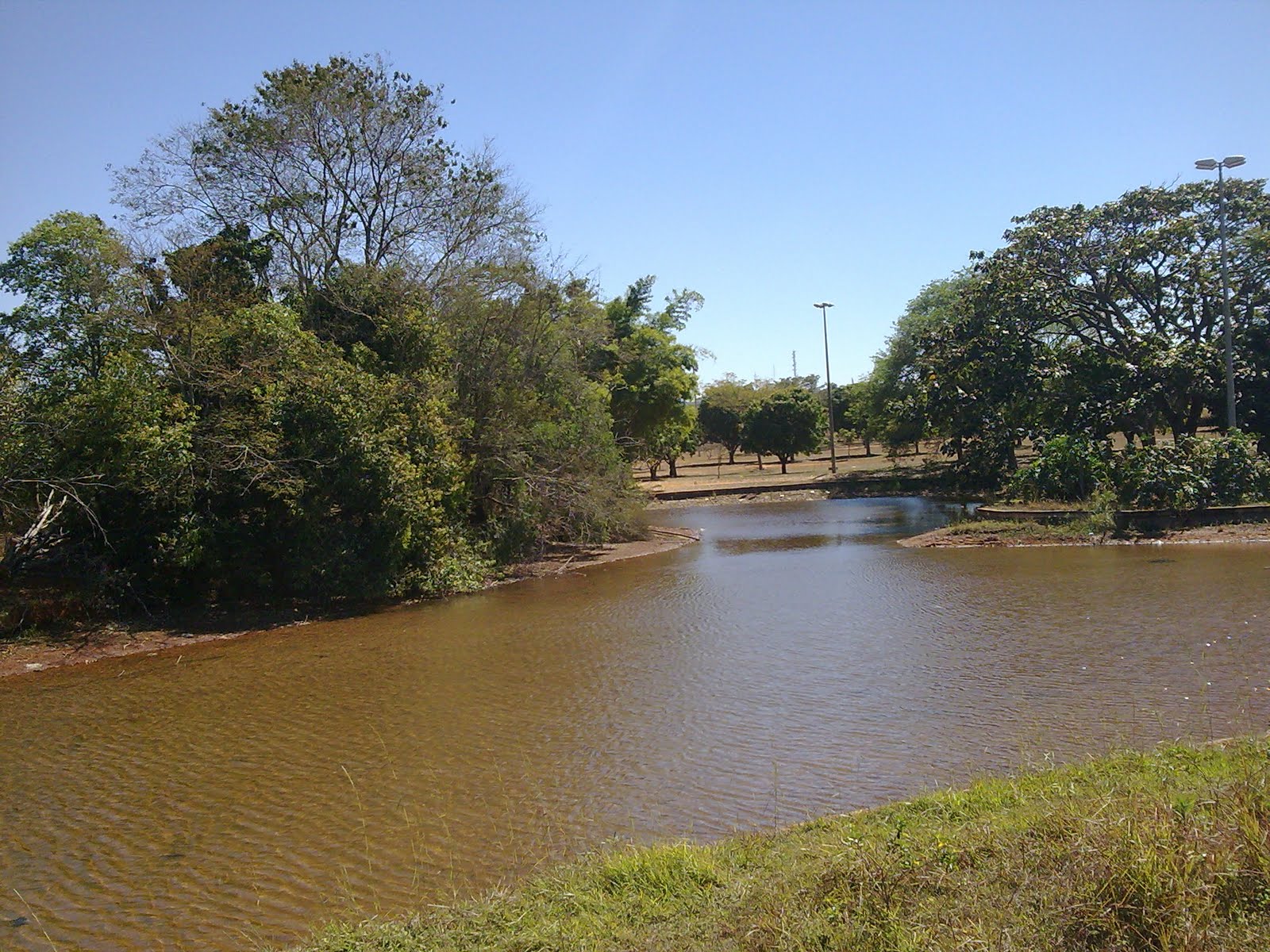 Peruas Falidas: Parque da Cidade, Brasília, DF