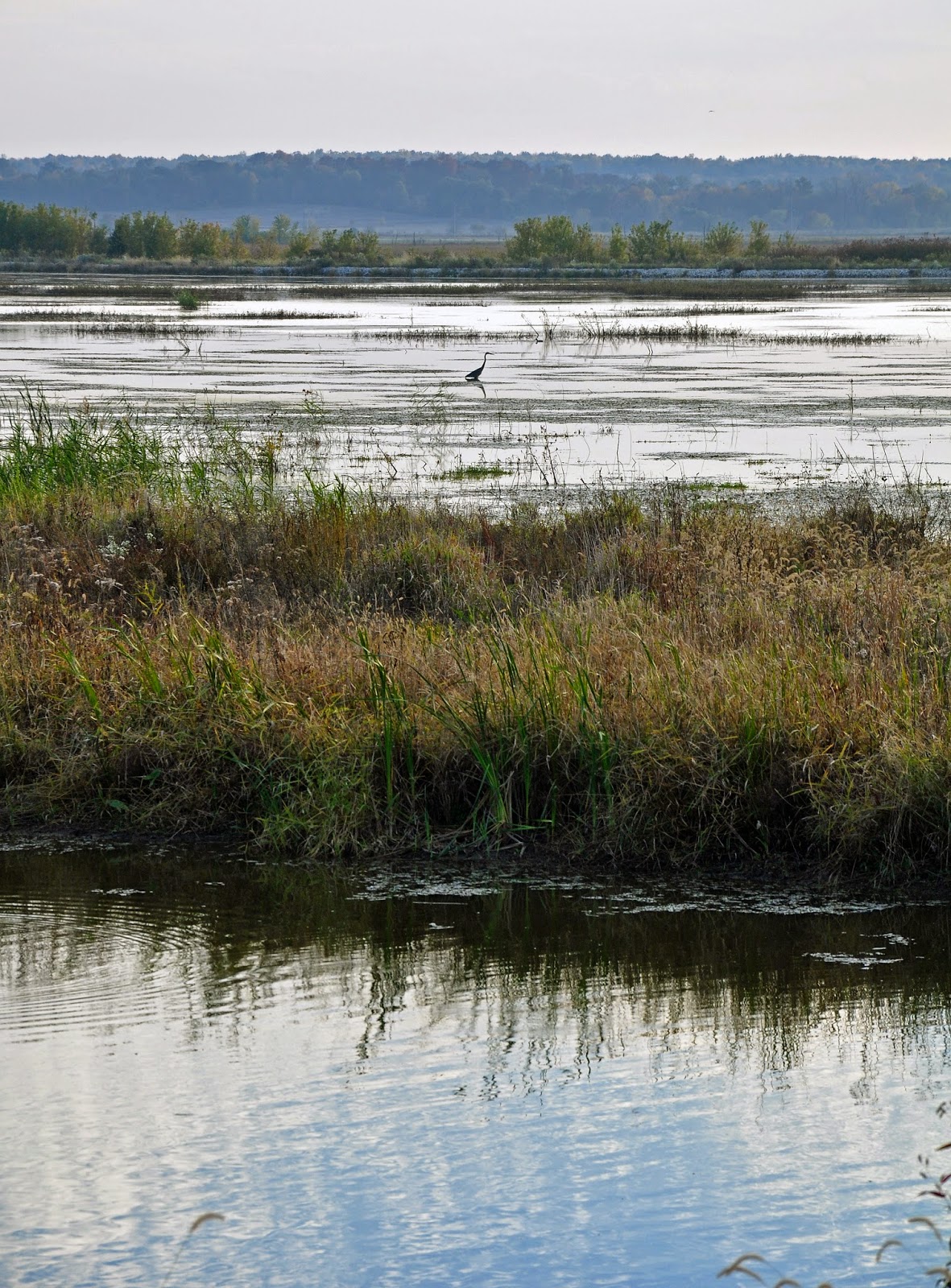 It's The Journey...: Goose Pond and Autumn in Indiana