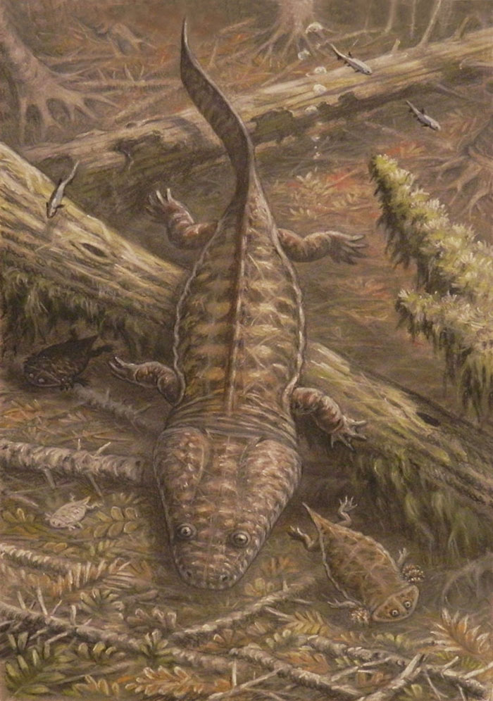 Mundo Pré-Histórico: Metopossauro, um grande anfíbio