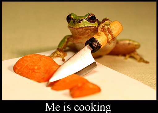 All Funny,Cute,Cool and Amazing Animals: Funny Frogs Pictures and ...