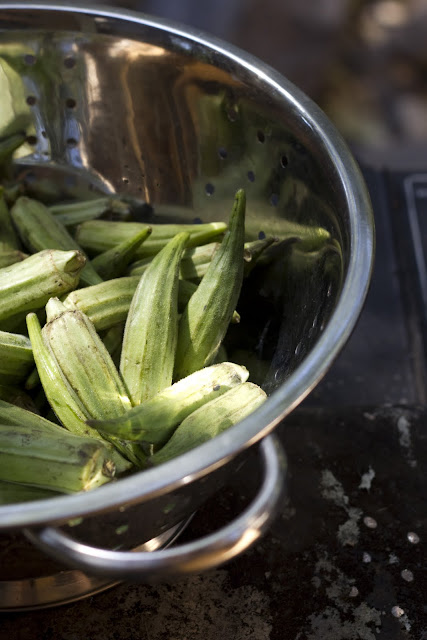 The Colors Of Indian Cooking: The Big O...Or Okra Without Tears