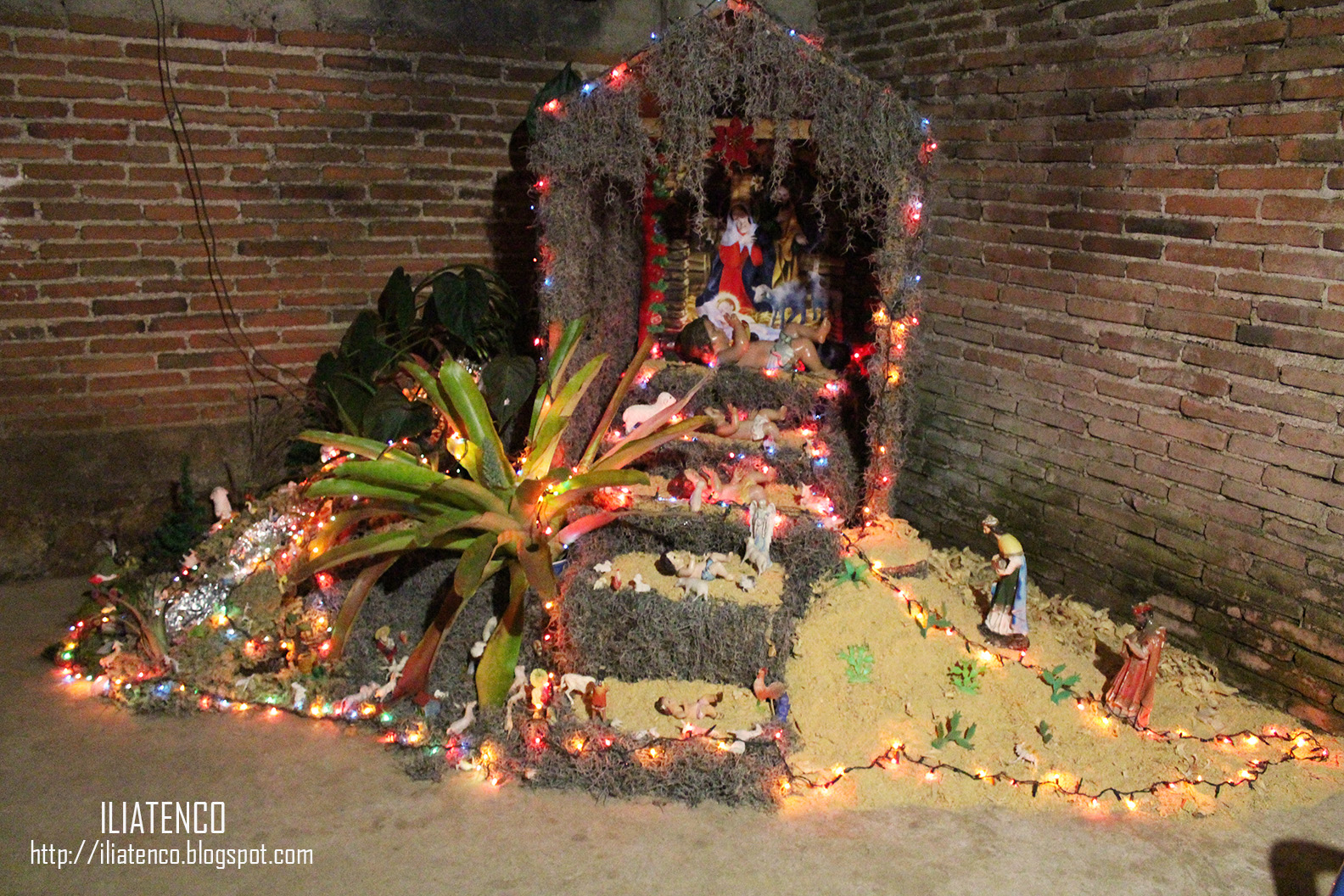 Ofrecimientos Para El Nacimiento Del Niño Dios – CQWRO