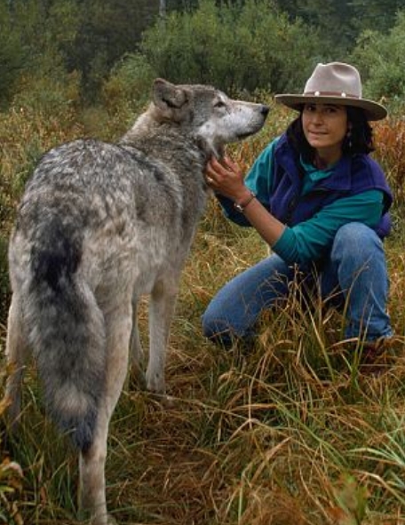 White Wolf : Call of the wild: Stunning images capture couple's ...