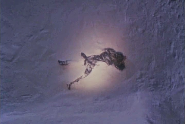 The Bloody Pit of Horror: Howling V: The Rebirth (1989)