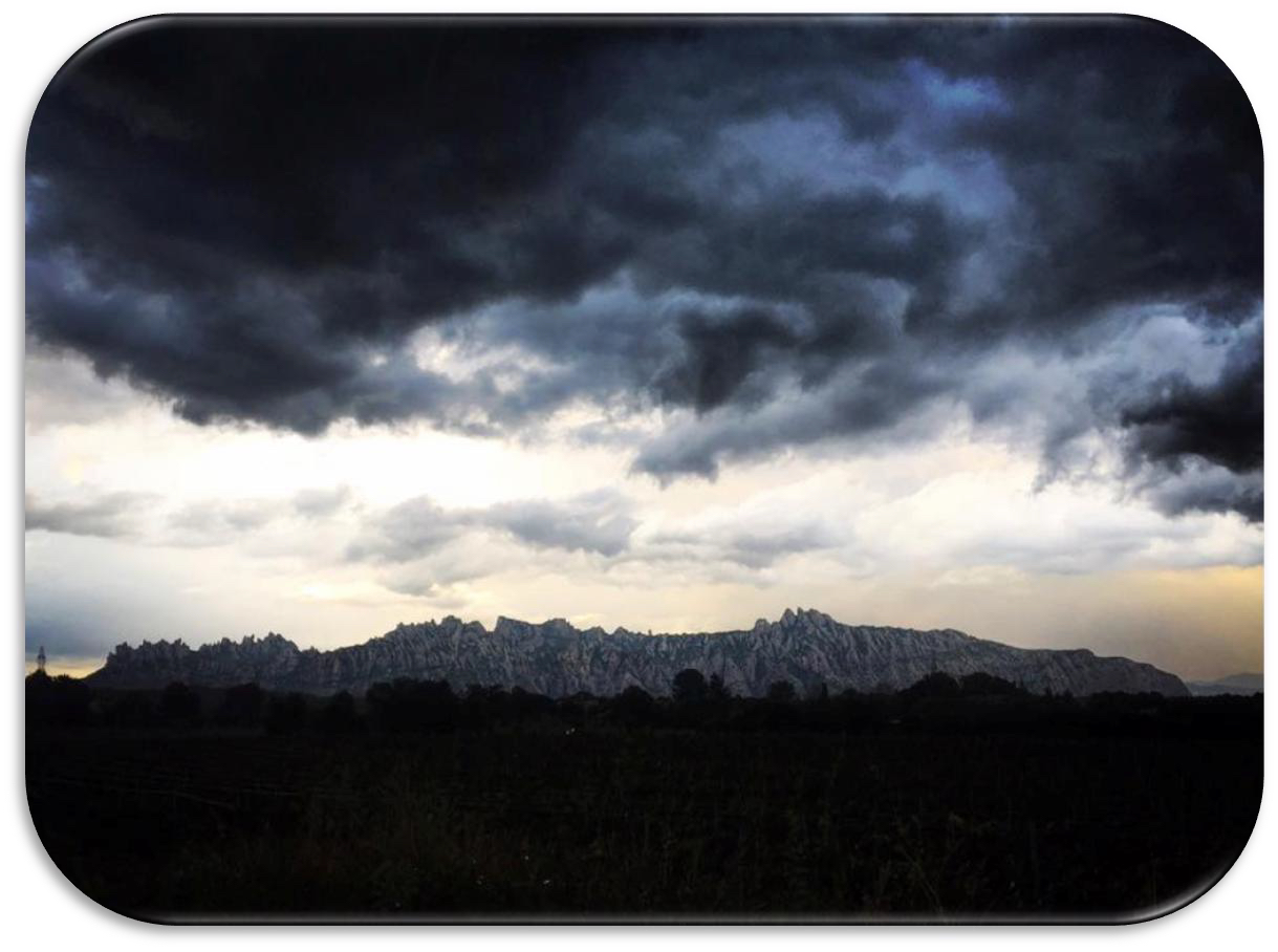 MEDIO NATURAL UN ESPACIO COMPARTIDO: La montaña aserrada de Montserrat.