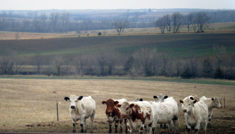 Flour Sack Mama: Great Plains Farmer Preserves Old World Agriculture