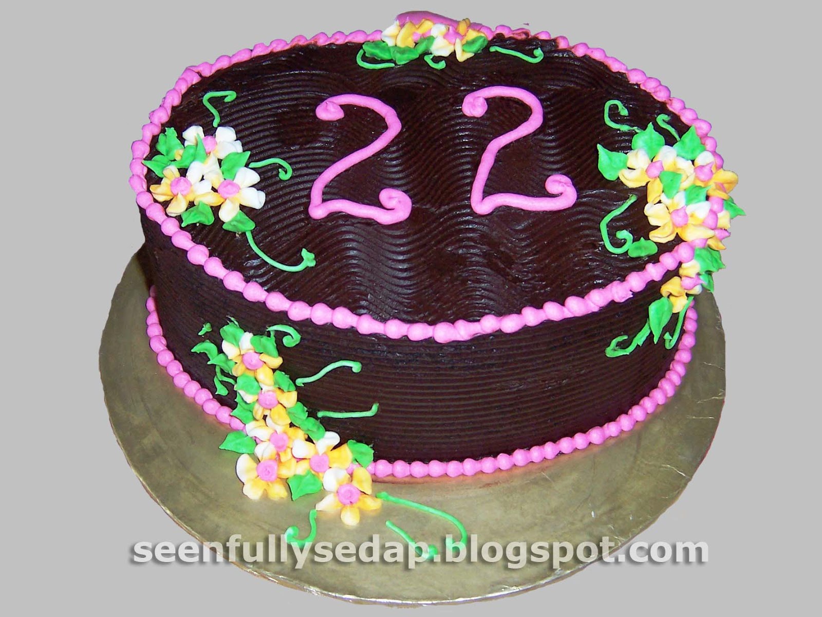 Seenfully Sedap: 22nd Birthday Cake