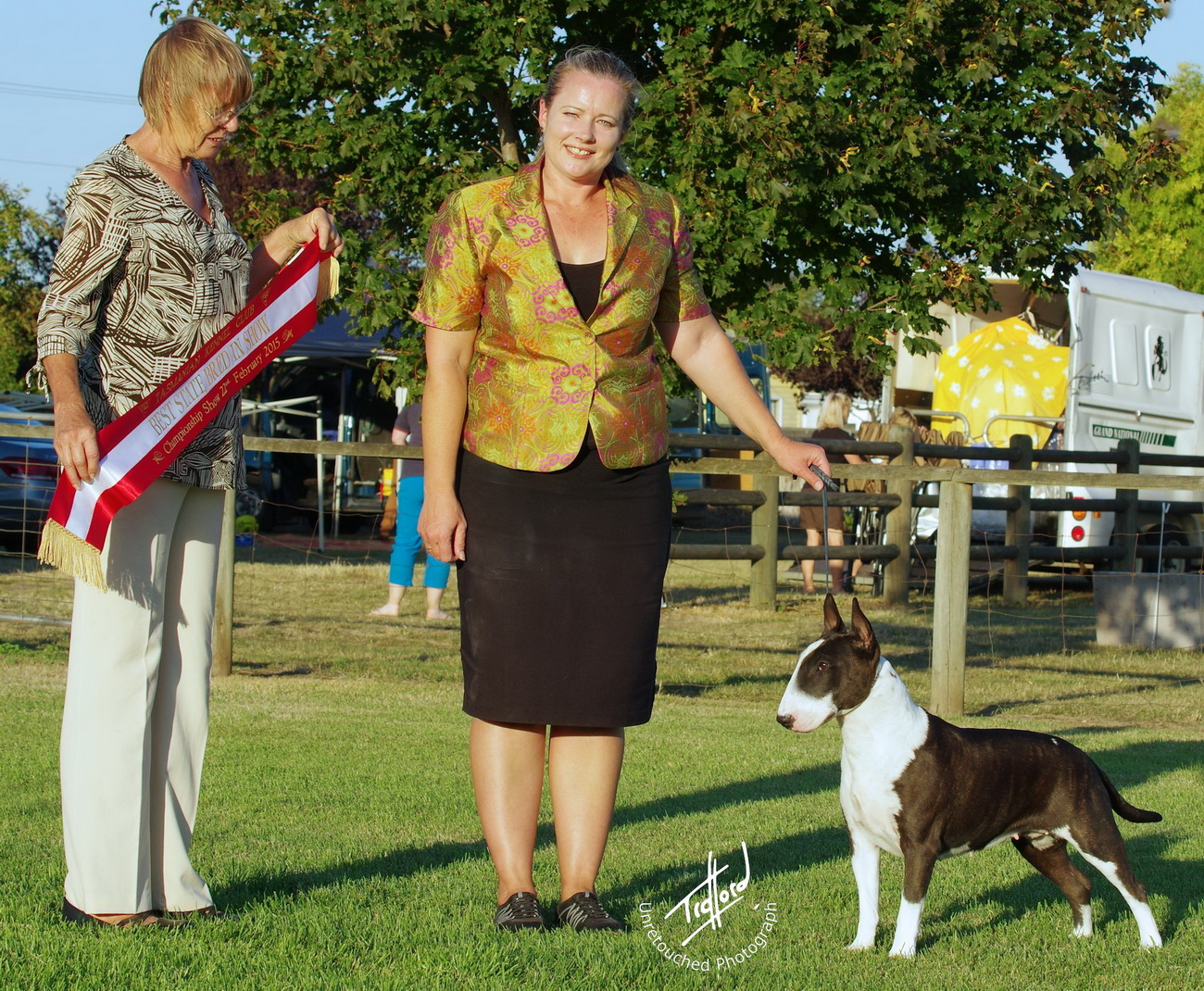 TraffordPhotos - Australian Dog Show Photos: February 2015