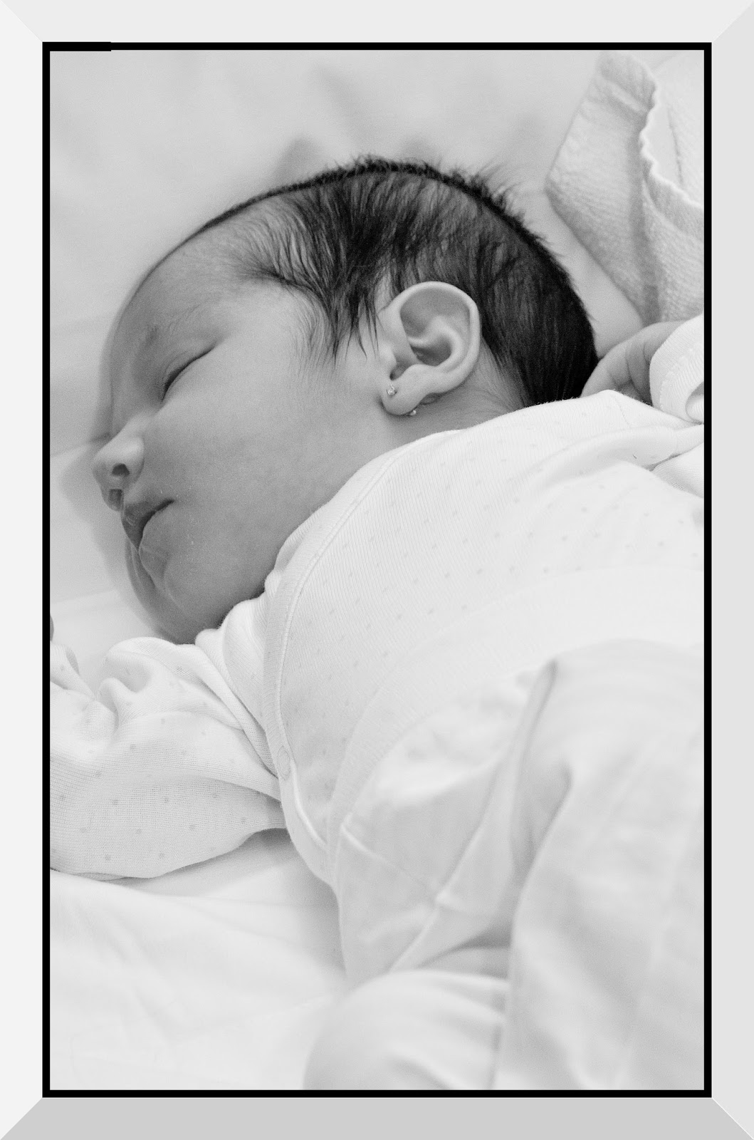 Oscar Lechuga Fotógrafo