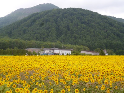 What Wonderful Travels in Hokkaido, JAPAN!: Mingei Goten （民芸御殿 ...