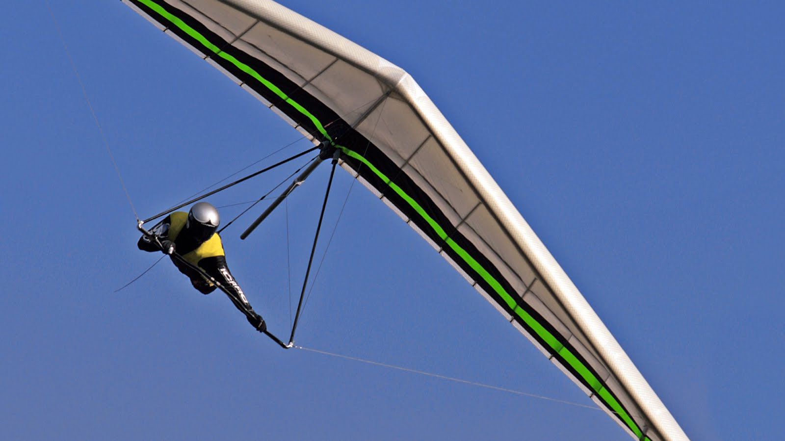 BLOG DO RONNIE: Asa delta