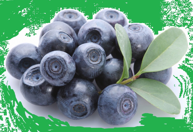 CURA DE DETOXIFIERE PE BAZA DE AFINE