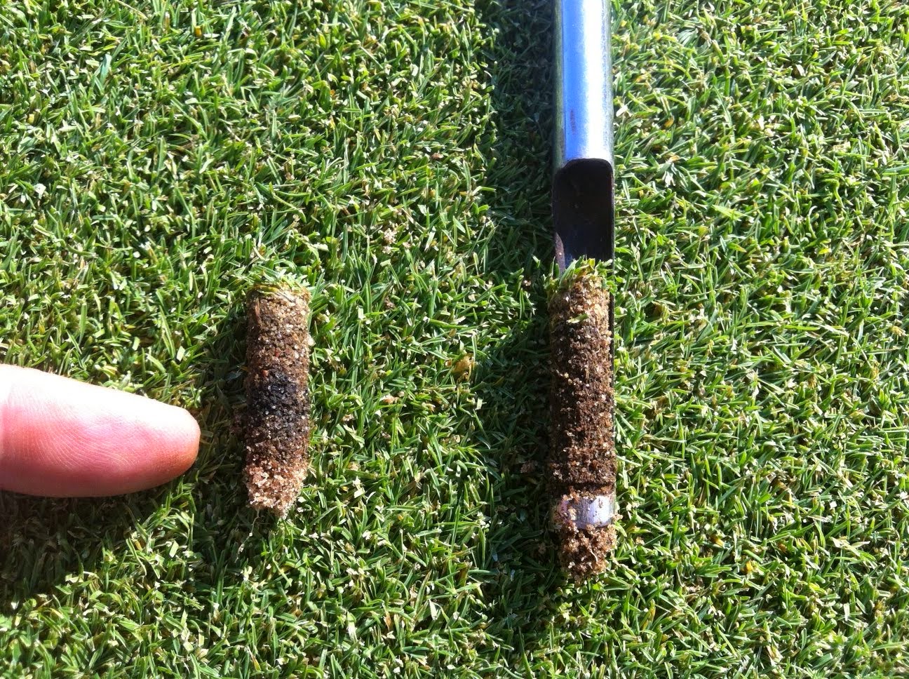 The World of Turf: Black layer