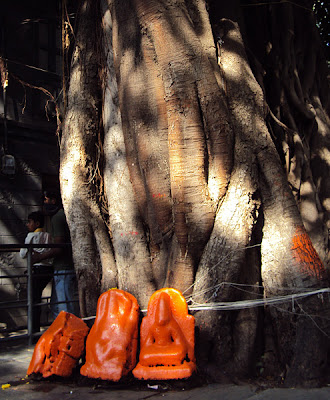 Nashik- Where it all begins!: Panchvati.