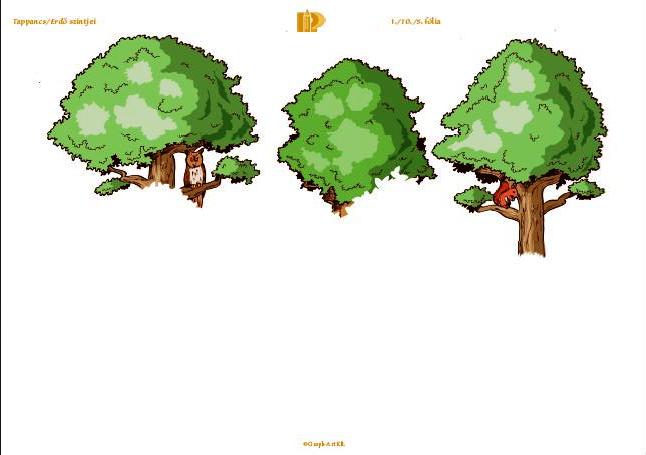 Játékos tanulás és kreativitás: Az erdő szintjei flipbook