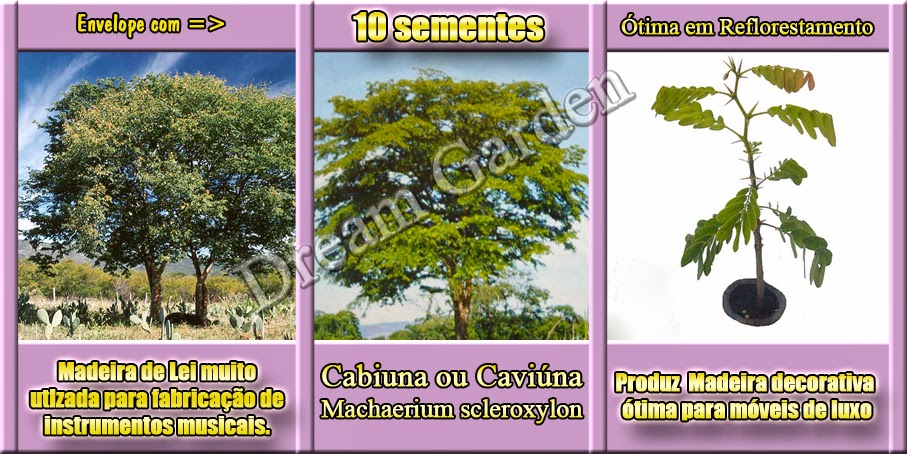 Caviuna Machaerium scleroxylon