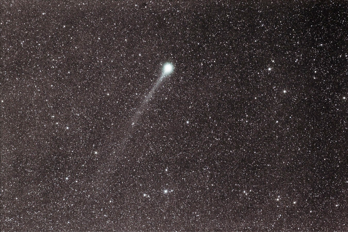 Brad's Bonaire Update: Comet Lovejoy