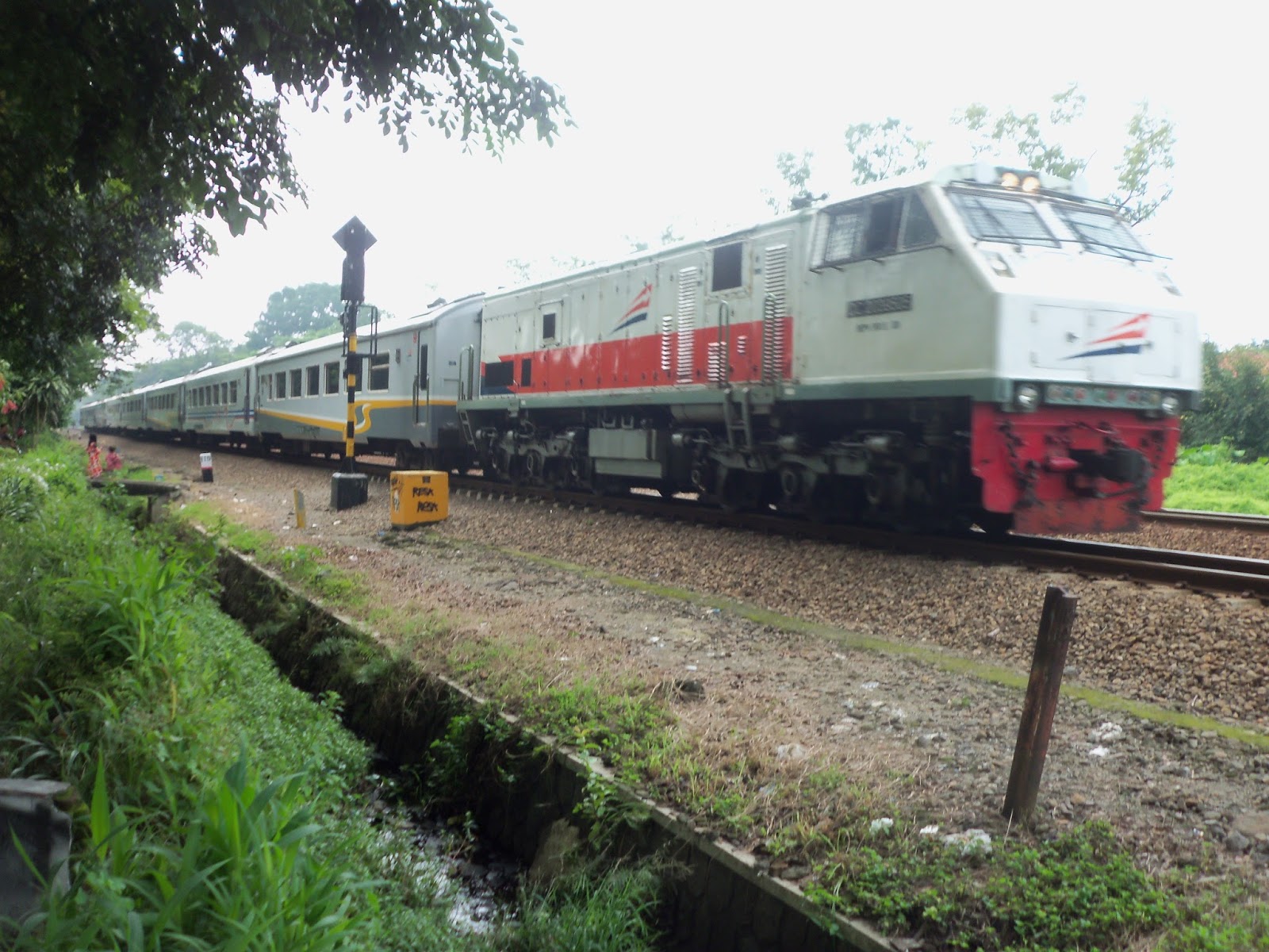 Railfans S35: Kereta Api Argo Wilis (Indonesian Version)