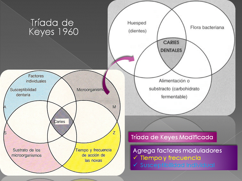 Integral 2015 Dra. Cerda: Anexo a Etiopatogenia De Caries