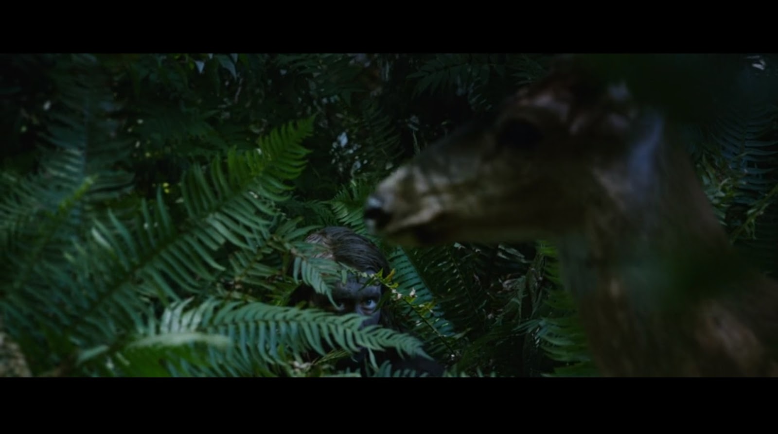 Cinematography IV - Shot Composition