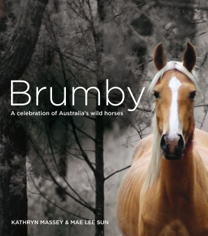Kids' Book Review: Review: Brumby
