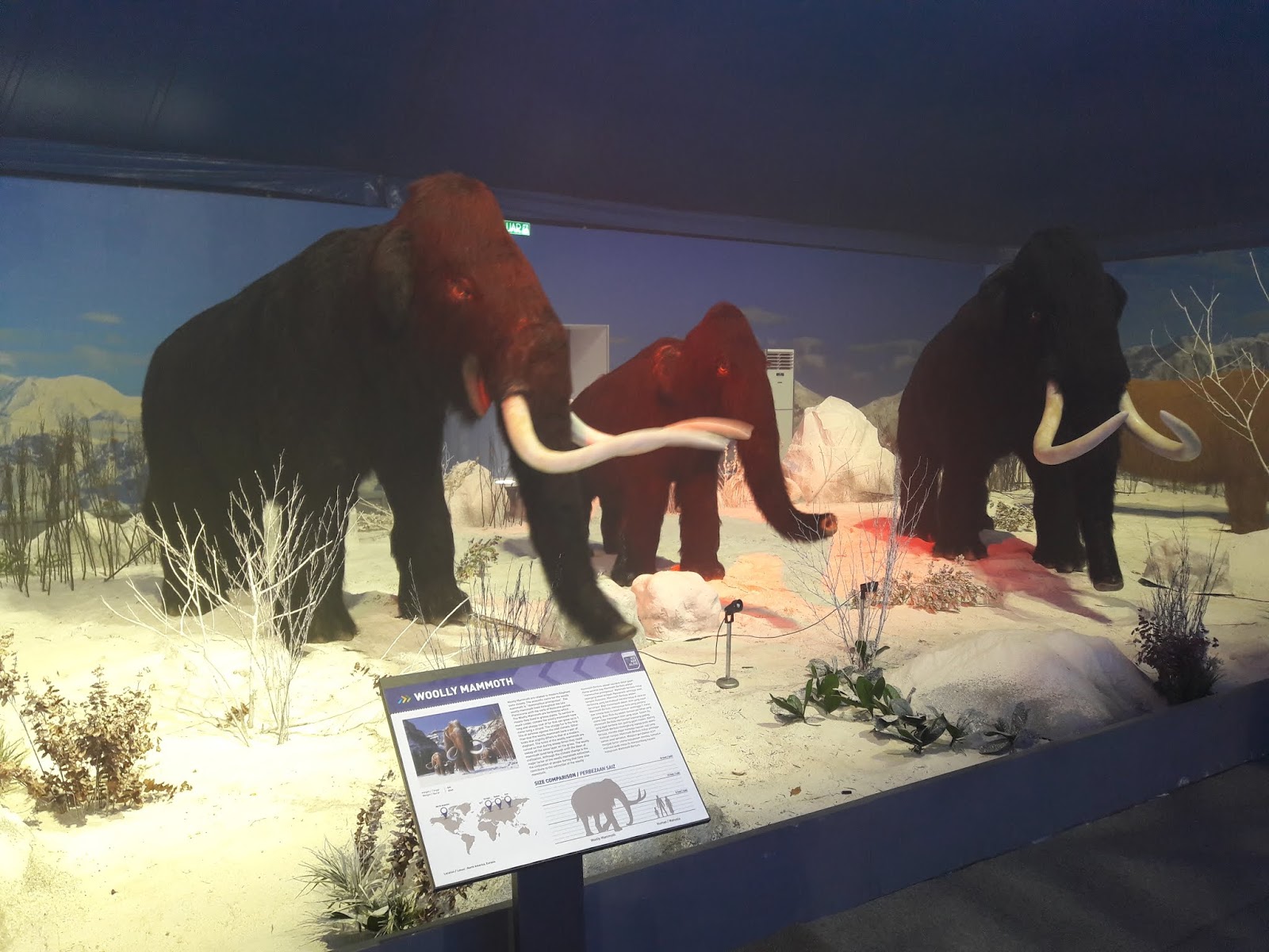 My Blogs: Ice Age Alive Kuala Lumpur