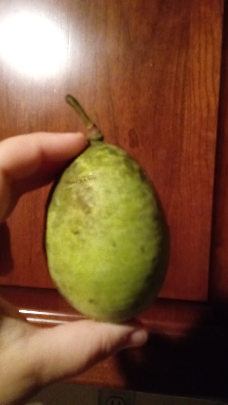 Veggie Delight: Jamming With the Ohio Pawpaw