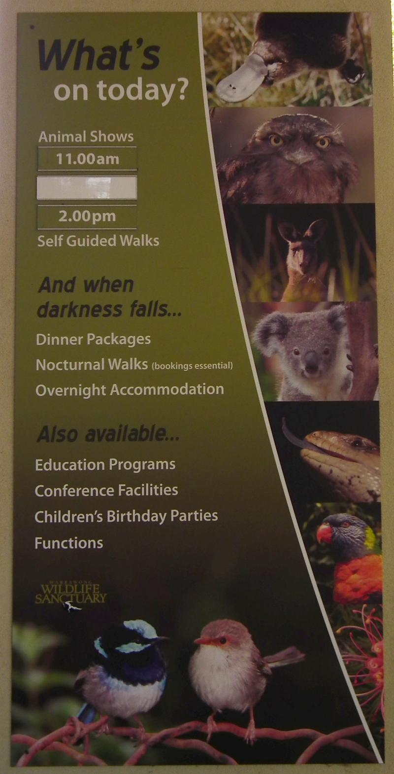 Meander to the Max: A Farewell to Warrawong, Part 1